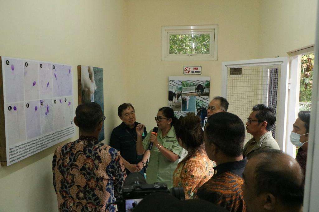 Taman Safari Jatim Resmikan Pusat Penelitian Terpadu Banteng Jawa - RRI ...