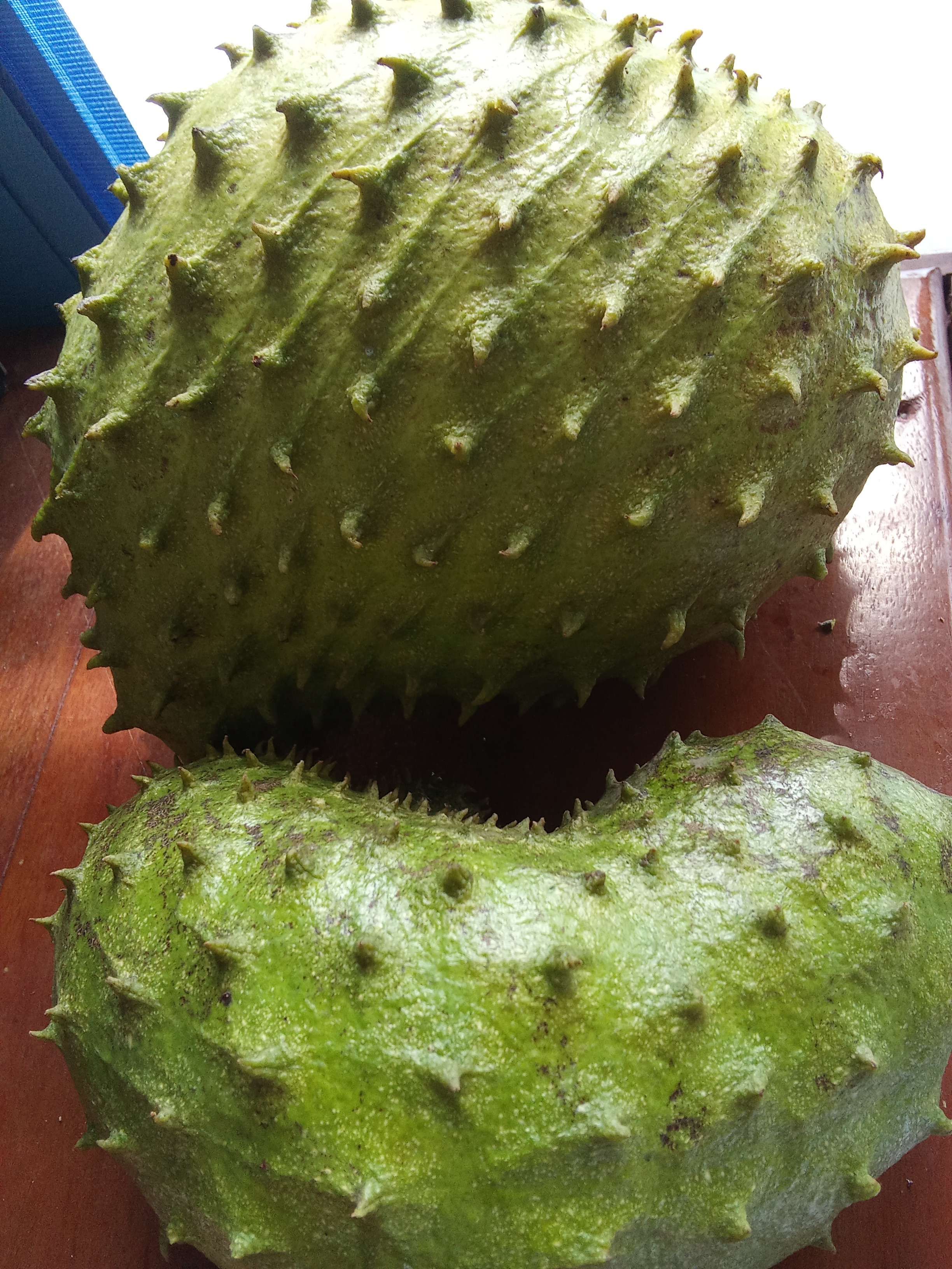 Sirsak Fruit Indonesia