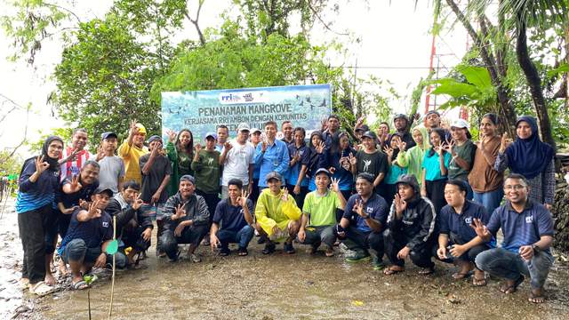 RRI Ambon dan Green Mollucas Tanam Mangrove - RRI.co.id