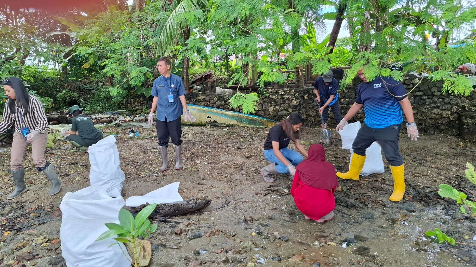 RRI Ambon Siap Aksi Penanaman Mangrove di Lateri - RRI.co.id