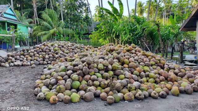 Indonesia Eyes IDR 138 Trillion Boost Through Plantation Downstreaming ...