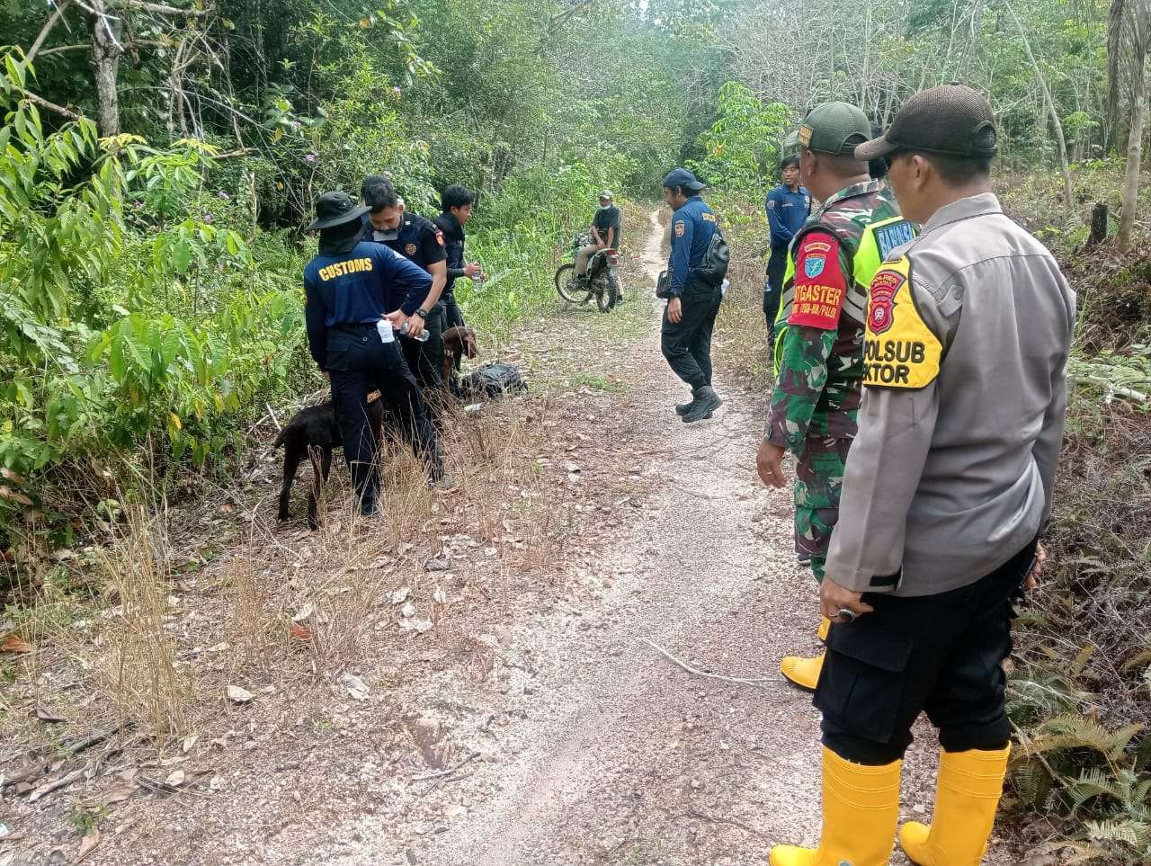 Satgas Pamtas Patroli Gabungan dengan Bea Cukai di Temajuk - RRI.co.id