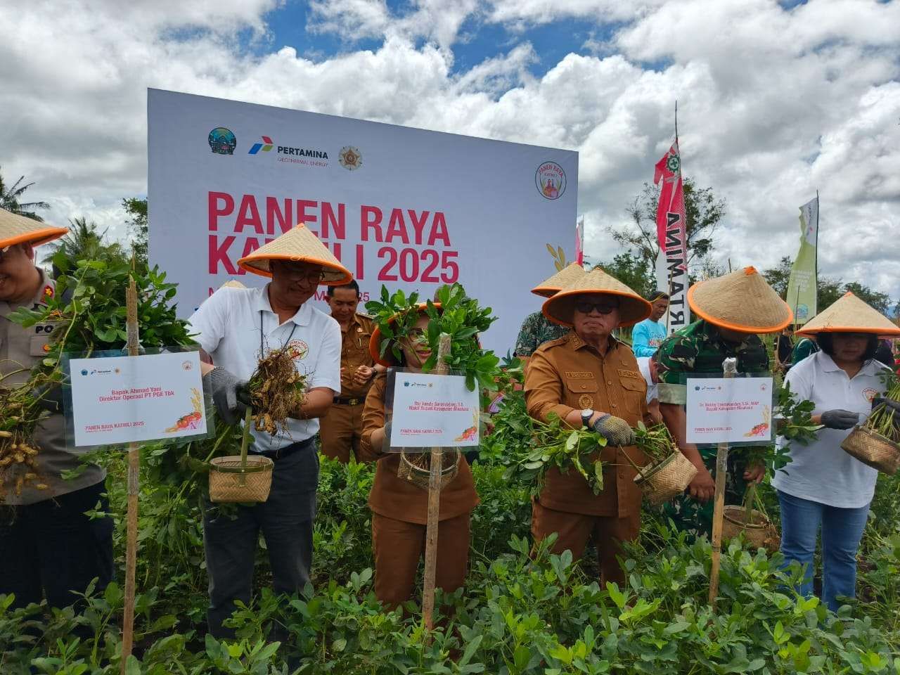 PGE Lahendong dan UGM Sukses Panen Raya Katrili - RRI.co.id