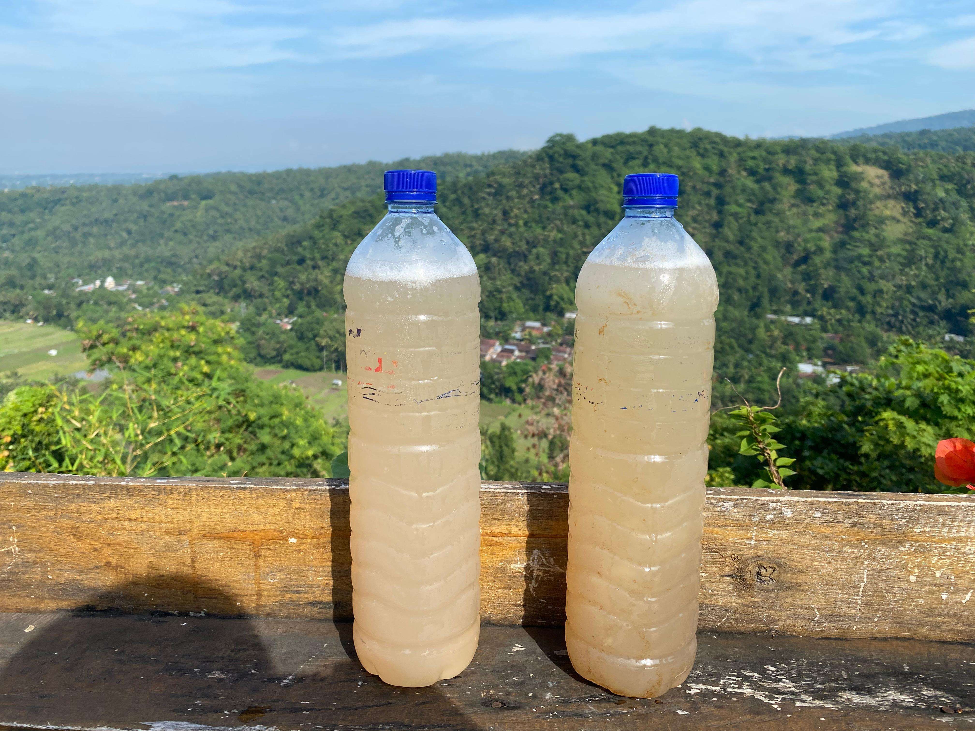 Tuak Manis, Minuman Tradisional Kaya Manfaat - RRI.co.id