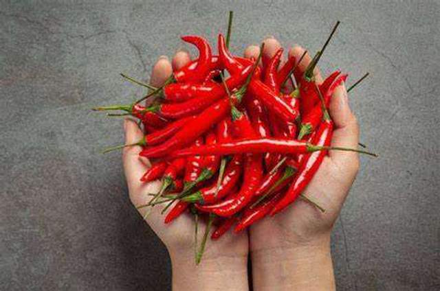 Trik Atasi Tangan Panas Karena Cabe - RRI.co.id