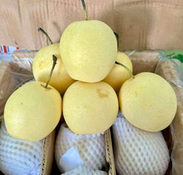 Ragam Jenis Buah Pir: Manis, Segar dan Kaya Manfaat - RRI.co.id
