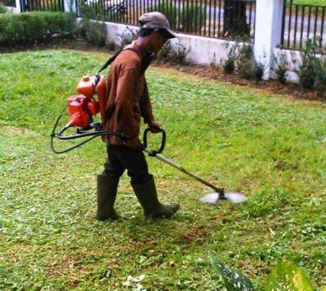 Tips Keselamatan Saat Menebas Rumput Dengan Mesin - RRI.co.id