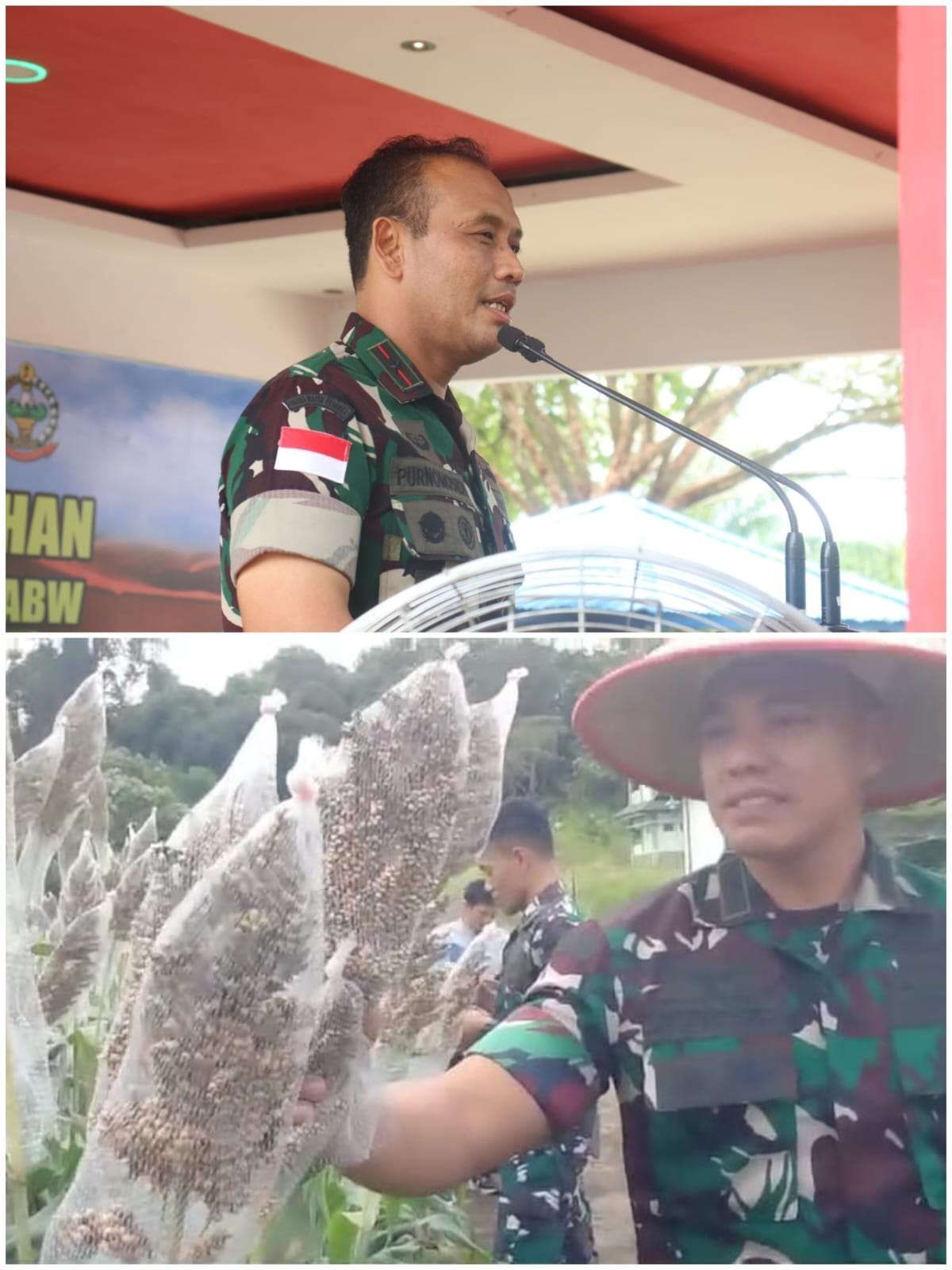 Dukung Ketahanan Pangan,Korem 121/Abw Kembangkan Demplot Pertanian ...