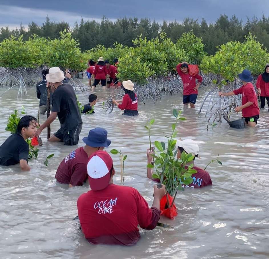 Tanam Mangrove, Selamatkan Pesisir Pantain di Bangka - RRI.co.id