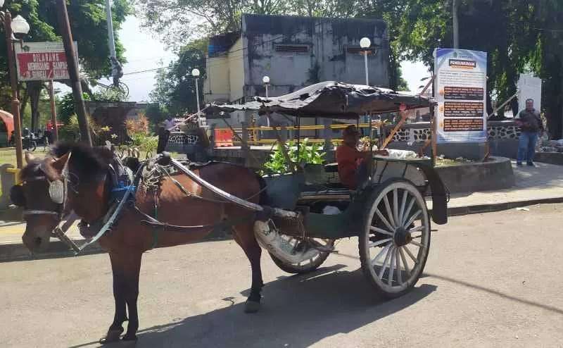 Dokar, alat transportasi kuno yang pernah Hits di Surabaya - RRI.co.id