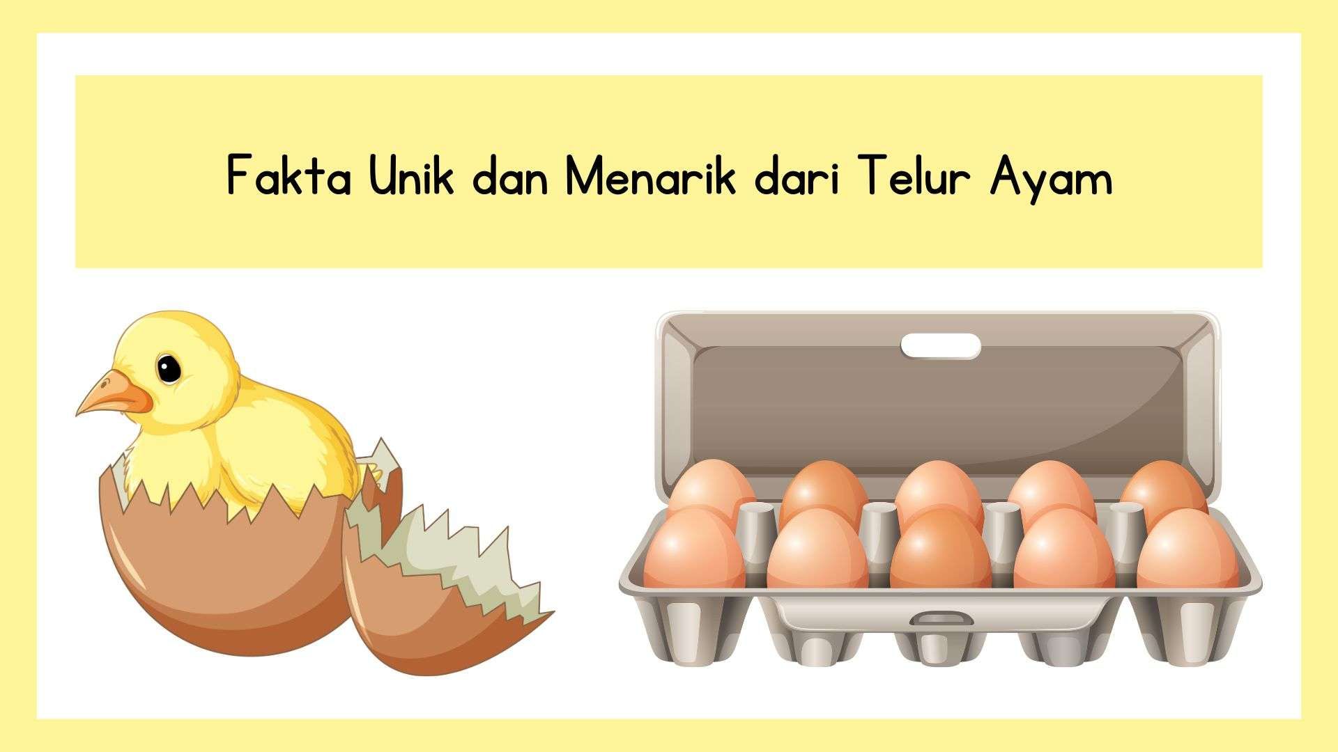 Fakta Unik dan Menarik dari Telur Ayam - RRI.co.id