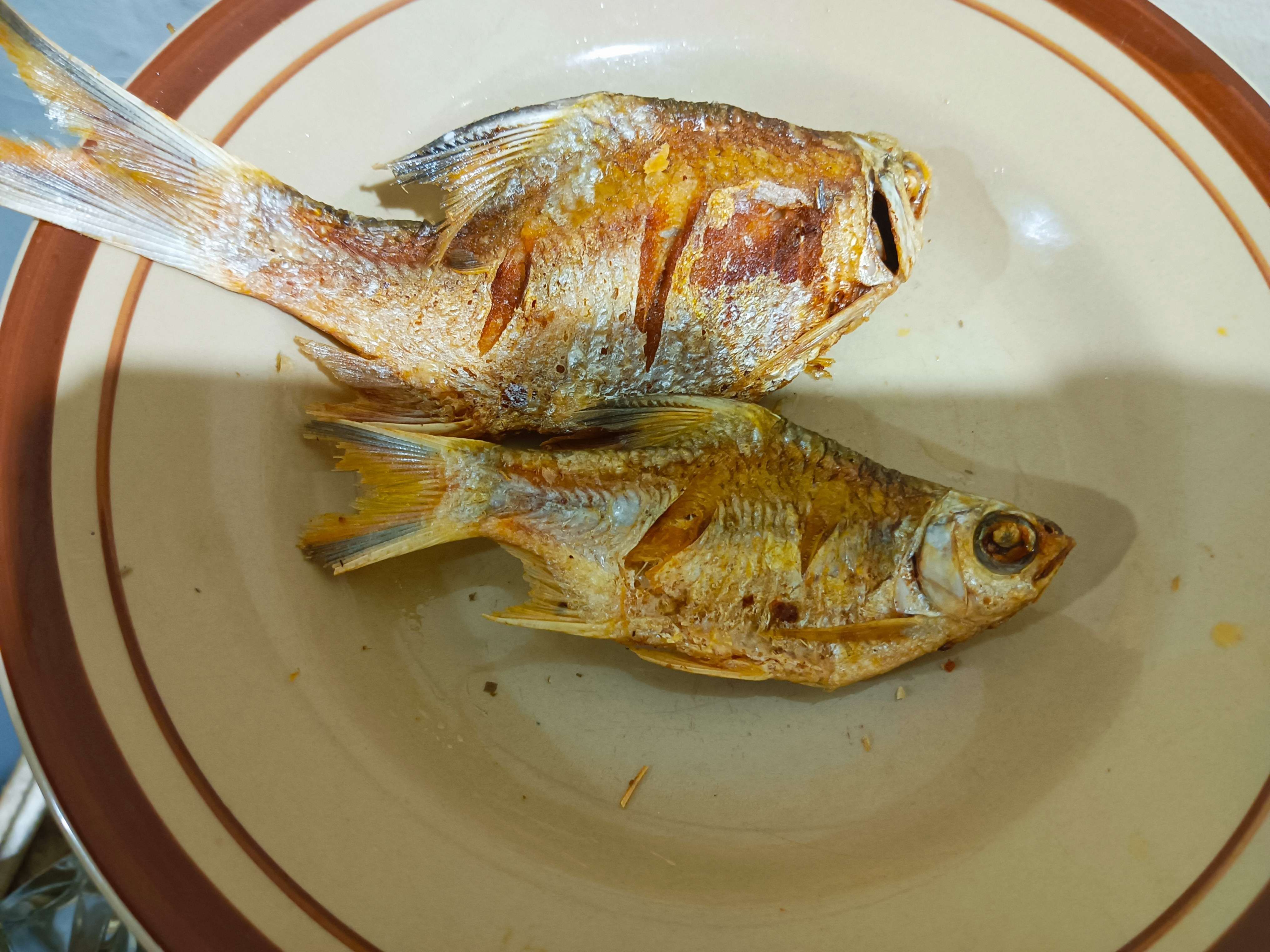 Lampam Salah Satu Jenis Ikan Sungai Umpu - RRI.co.id
